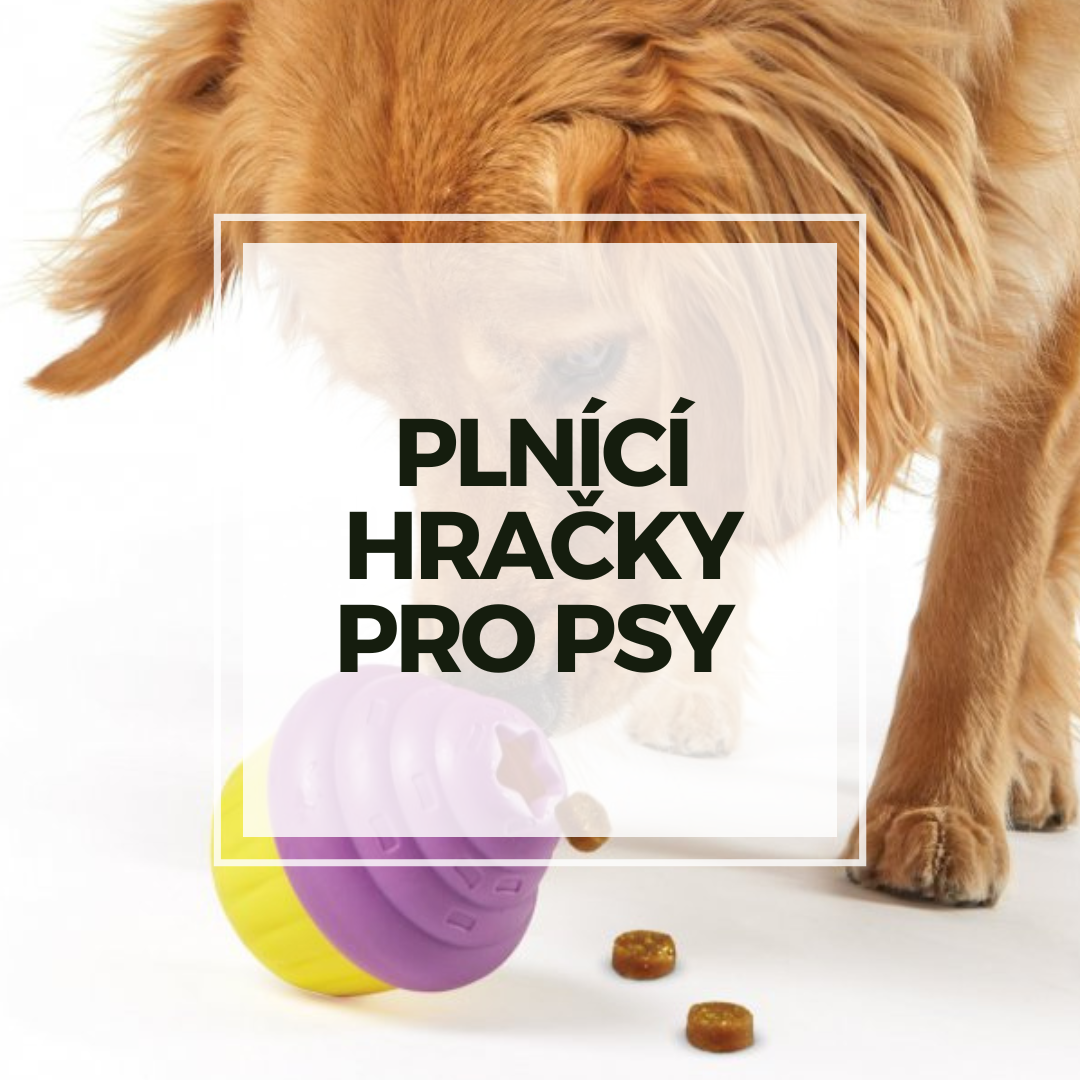 Zábava a nadšení na několik hodin. To je kouzlo plnících hraček pro psy ...